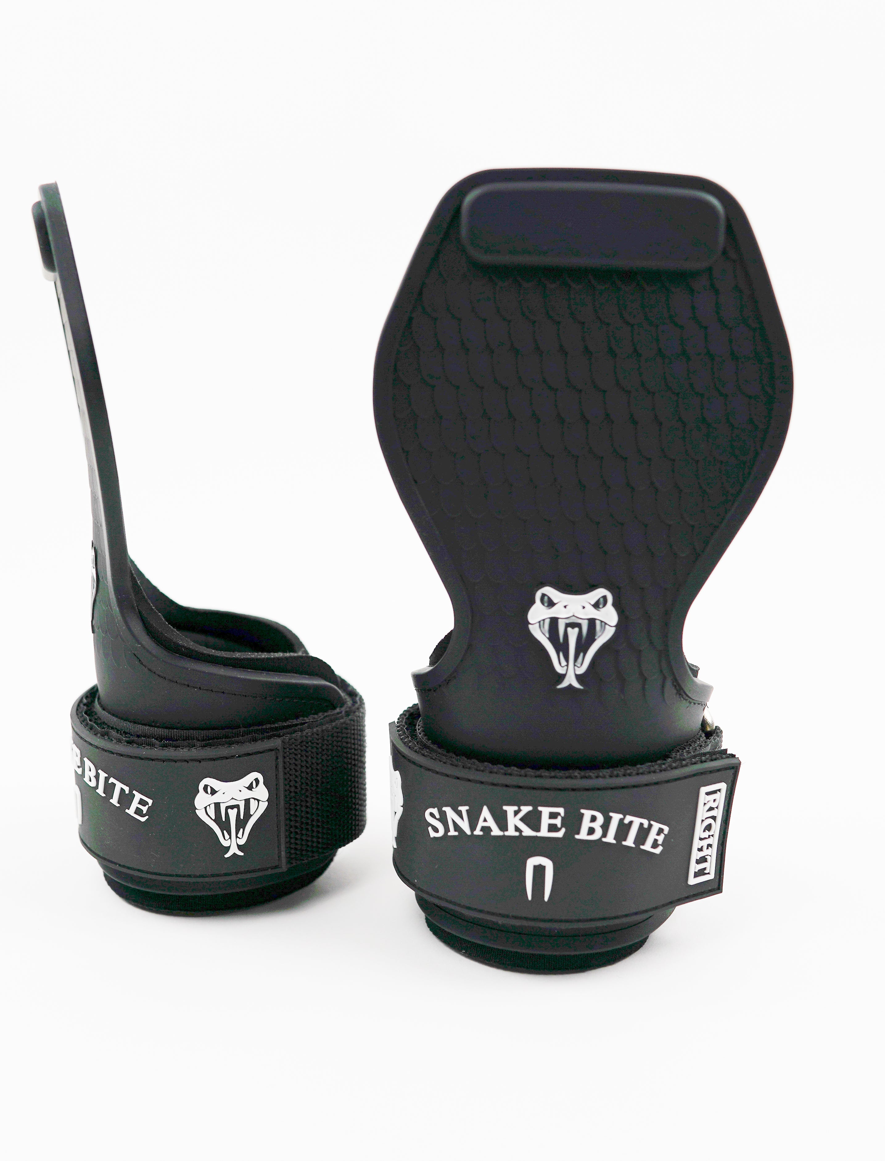 SB ELITE STRAPS V3 (Coming soon) – SNAKE BITE FITNESS